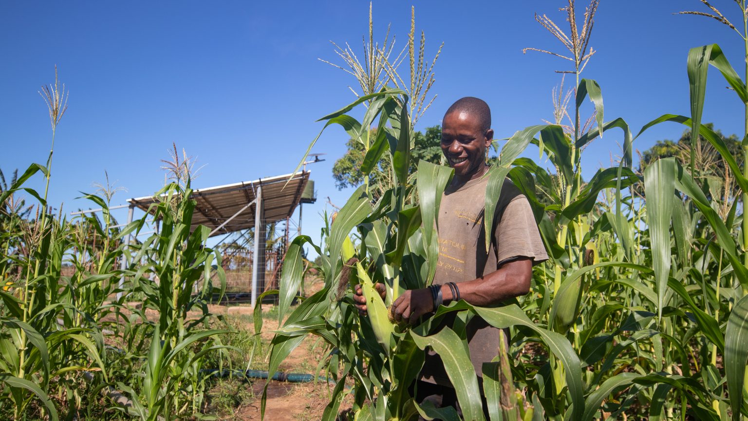 Youth and Women Empowerment - IRW - Kenya